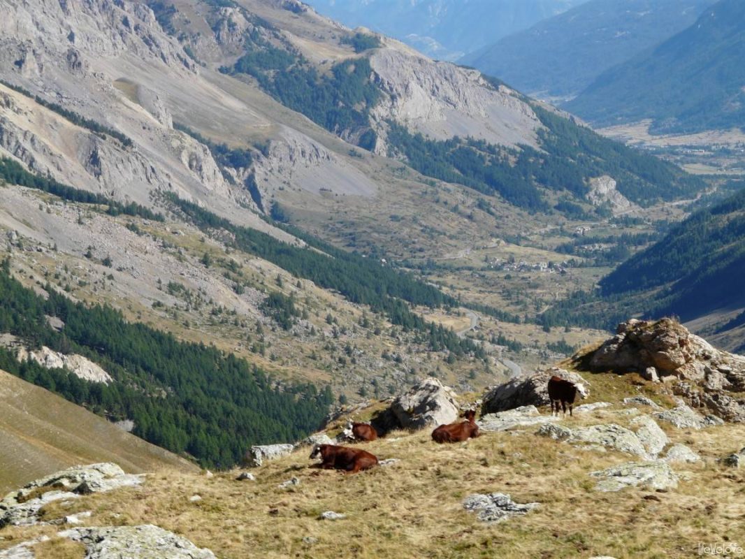 The Great Alpine Road - The Route des Grandes Alpes | LifeWeLove