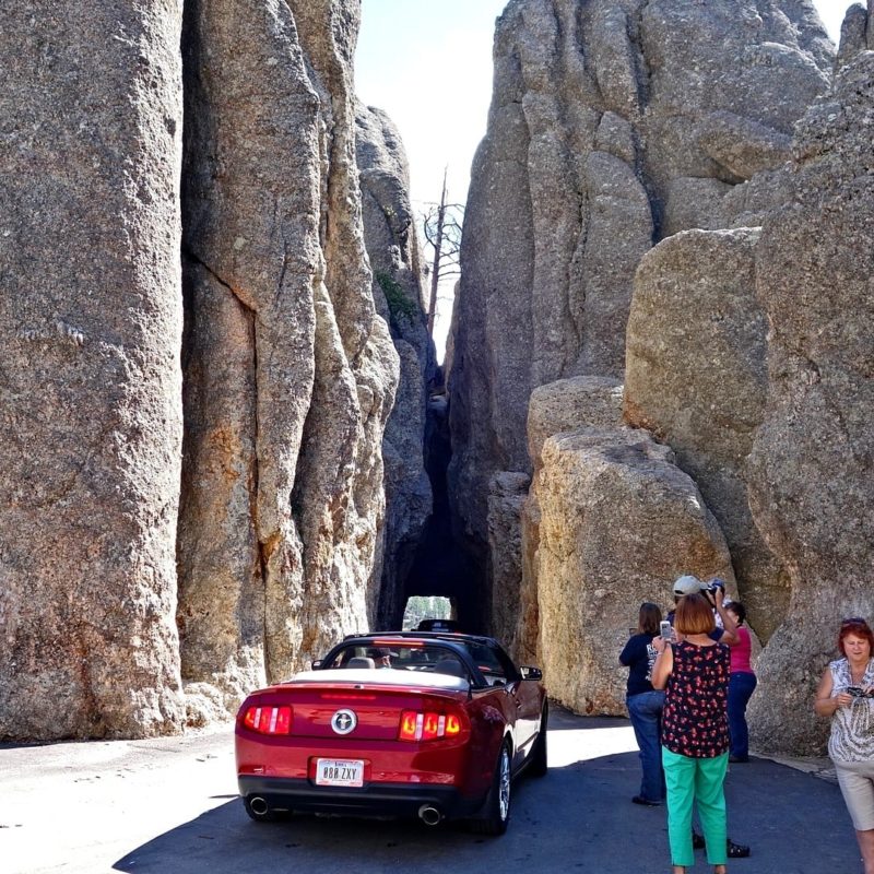The Needles Highway, a winding road finally! - LifeWeLove