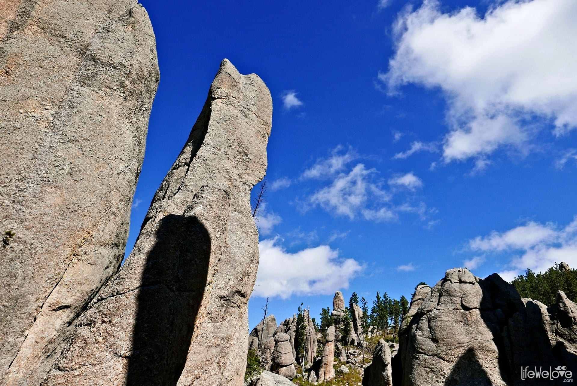 The Needles Highway, a winding road finally! - LifeWeLove