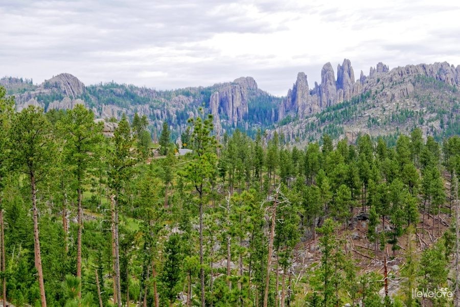The Needles Highway - nareszcie zakręty! - LifeWeLove