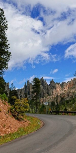 The Needles Highway, a winding road finally! - LifeWeLove