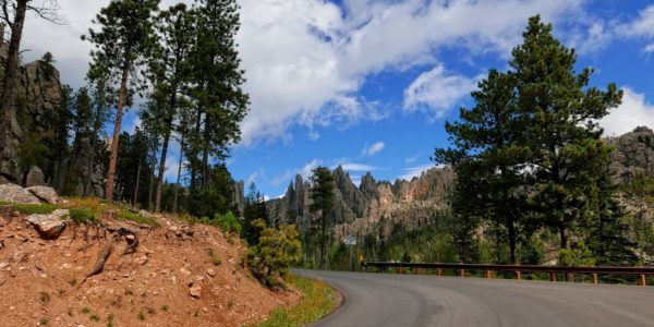 The Needles Highway, a winding road finally! - LifeWeLove