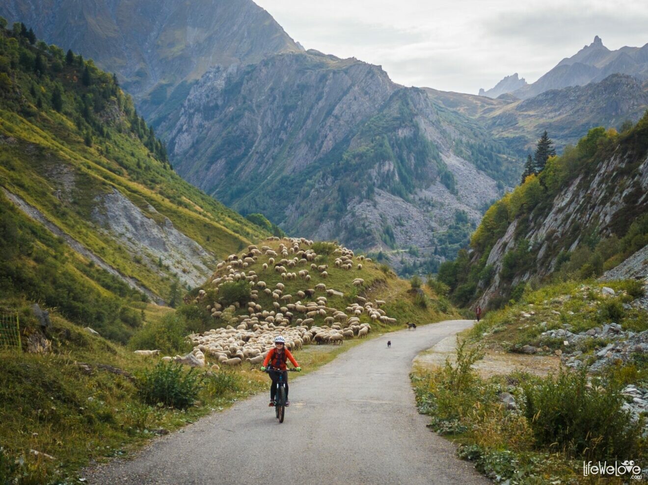 Les Chapieux campsite: a charming stop on the way to Mont Blanc ...
